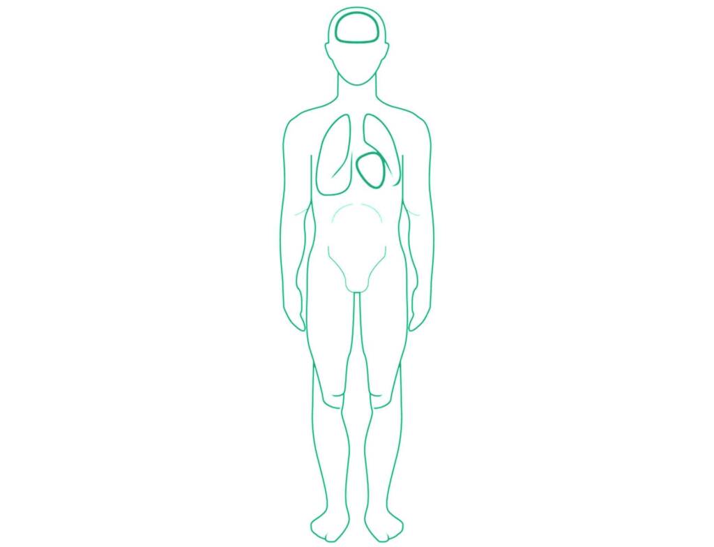 Prime Full body Check Up wellness – Elix Care